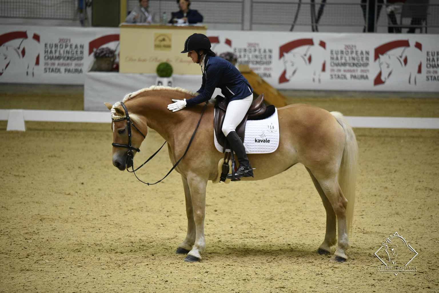Championnats d'Europe Haflinger 2021 - Association Française du Haflinger